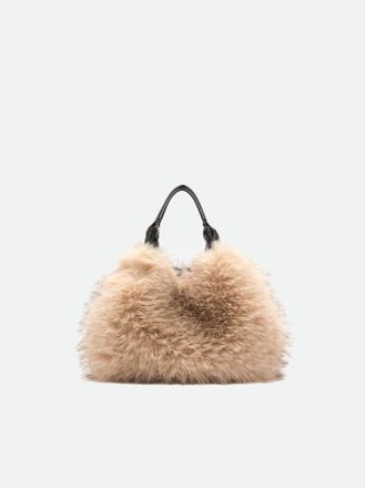 Gianni Chiarini DUA