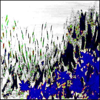 Rosemary Goodenough Blue Planting in Drifts V Silk Scarf