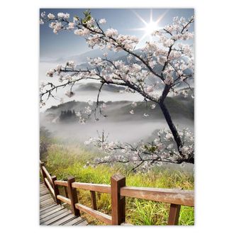 Generic Foto-Poster, Wanddekoration, 40 x 50 cm, japanische Kirschbl&uuml;te, Nr. H839M_PL1Q