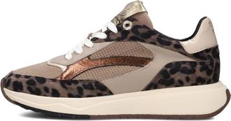 Floris Van Bommel Damen, Schuhe, Mehrfarbig, 38 1/2 EUGr&ouml;&szlig;e