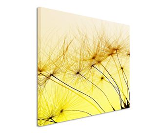 Paul Sinus Art Sinus Art 120x80cm Wandbild - Farbe Orange Gelb - Leinwandbild auf Keilrahmen in Bester Qualit&auml;t - Makroaufnahme Samen mit Wassertropfen III