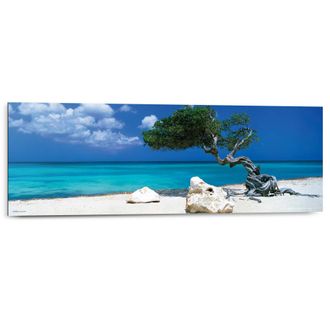 Reinders Wandbild, Divi Divi Baum, Schlafzimmer, Bilder, Wanddeko, Room Decor, MDF, Blau, 30 x 90