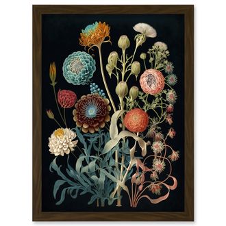 Artery8 Vintage Botanical Ernst Haeckel Style Plant Study Modern Watercolour Painting Illustration Artwork Framed Wall Art Print A4