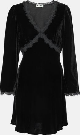 Rixo Minikleid Macie aus Samt mit Spitze