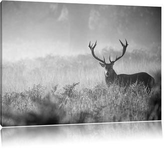 Pixxprint Rotwild Hirsch im Nebel Kunst B&W, Größe: 120x80cm, Leinwandbild, fertig gespannt, Wandbild, Dekoration, Kunstdruck, kein Poster