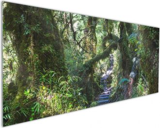 Wallario K&uuml;chenr&uuml;ckwand aus Glas 125 x 50 cm, Motiv: Weg durch den Mooswald | Spritzschutz abwischbar & pflegeleicht