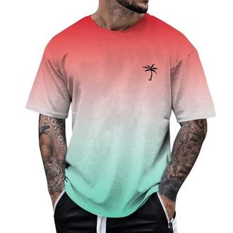 Generic T-shirt pour homme Printemps et &Eacute;t&eacute; Imprim&eacute; Tout Imprim&eacute; Manches Courtes Col Rond T-shirt Floral Mode Tendance Bottoming Shirt Tops, g, 3XL