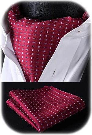 Hisdern Cravate Ascot Bordeaux Homme et Mouchoir Ensemble à Pois Polyester Soie Retro Classque Élégant Cravates Ascot Hommes Pochette pour Mariage