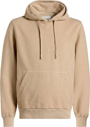 Circolo 1901 TOPS - Sweatshirts auf YOOX.COM