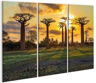 Islandburner Tableau Tableaux sur toile Baobabs au coucher du soleil au Baobabs Avenue &agrave; Madagascar UBR