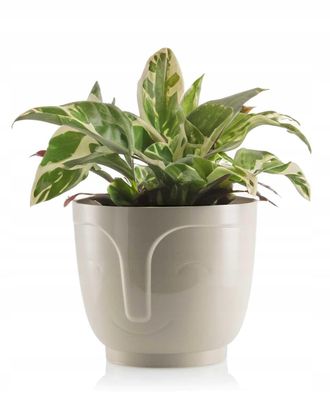 HowHomely Beige Blumentopf aus Kunststoff Hoch 16 cm mit einem Durchmesser von 19 cm - &Uuml;bertopf Mit L&auml;cheln-Gesicht f&uuml;r Deko Wohnzimmer