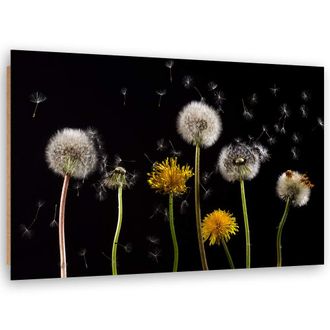 Feeby Wandbild XXL Pusteblumen Deko Kunst Bilder Natur Schwarz 120x80 cm