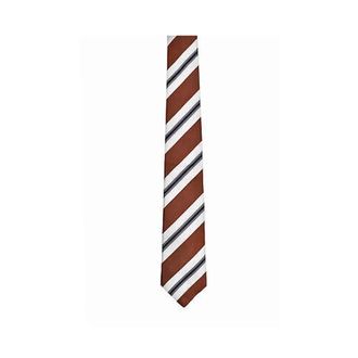 Brunello Cucinelli Homme, Accessoires, Multicolore, Taille: ONE Size Striped Silk Tie