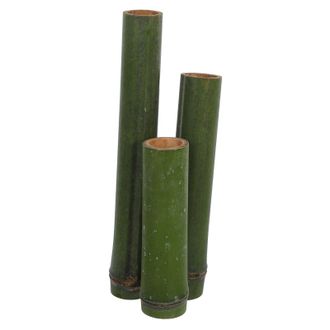 Lurrose 3 Stück Bambus röhren vasen Natürliche Blumendekoration für Büro Garten Hochzeit Vielseitige Bambus blumenhalter