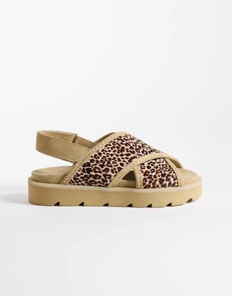 Clarks Meare Cross - Sandales &agrave; imprim&eacute; l&eacute;opard-Multicolore