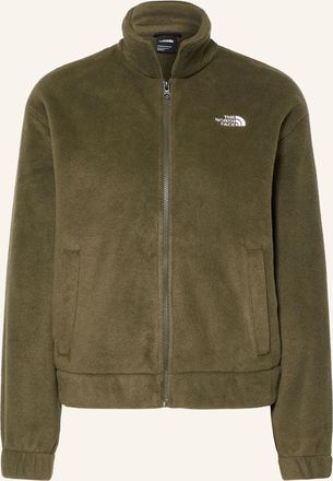 The North Face Fleecejacke Collared gruen