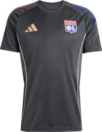 adidas Performance Olympique Lyon Trainingsshirt grau, 3XL Herren