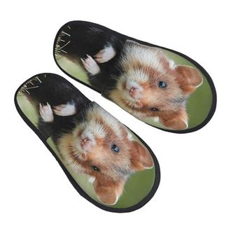 Generic Pantoufle Maison Hamsters Sur LHerbe Chaudes Pantoufles Antid&eacute;rapantes Chaussons Maison Confortable Hiver Chaussures Chaudes Pour Salon H&ocirc;tels Chambre