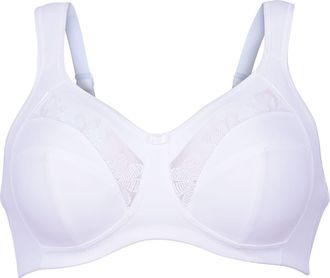 Anita BH Sophia