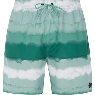 Protest Herren Badeshorts PRTHAMSEY