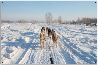 Wallario Outdoor-Poster f&uuml;r Garten oder Balkon Hundeschlitten im Schnee, Motivbanner Gr&ouml;&szlig;e: ca. 60 x 90 cm, Outdoor-Bild