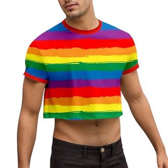 Generic T-shirts pour hommes Lgbtq Pride Crop Crop Arc-en-ciel Drapeau Top D&eacute;contract&eacute; Coton T-shirt Slim Fit Muscle Shirt Loisirs Haut D&eacute;contract&eacute; Streetwear
