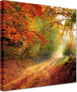 Generic Gem&auml;lde gedruckt auf Leinwand Wandkunst Dekor 20x20cm Stra&szlig;e im Wald Herbst Nr. H1671M_PC1AZ