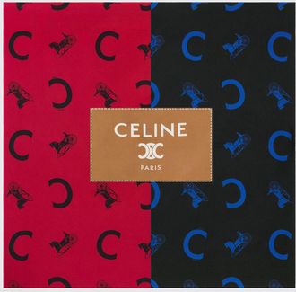 Celine &Eacute;charpe Femme couleur Fa01