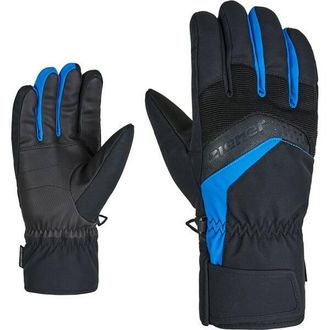 Ziener Herren Skihandschuhe GABINO