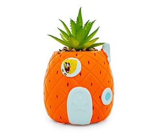 Silver Buffalo Spongebob Pineapple House Window Mini Pflanzgef&auml;&szlig; aus Keramik, Orange, 3 by 4.5-Inch