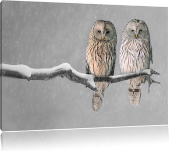 Pixxprint Zwei Eulen in Winterlandschaft, Größe: 120x80cm, Leinwandbild, fertig gespannt, Wandbild, Dekoration, Kunstdruck, kein Poster