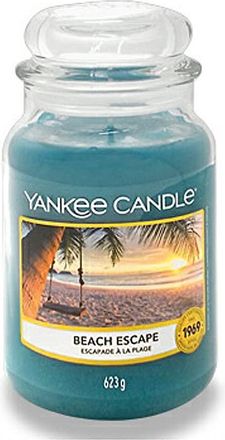 Yankee Candle Company PRODIGE - Diffusor-Stränge, Gewürzerde (Zimtorange)