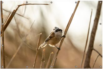 Wallario Outdoor-Poster f&uuml;r Garten oder Balkon Vogel im Schilf, Motivbanner Gr&ouml;&szlig;e: ca. 120 x 180 cm, Outdoor-Bild