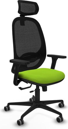 Piqueras y Crespo Cilanco Sicherheitsstuhl mit 3D-Armen, h&ouml;henverstellbarer Lendenwirbelst&uuml;tze und h&ouml;henverstellbarem Kopfteil, Schwarz / Pistazie
