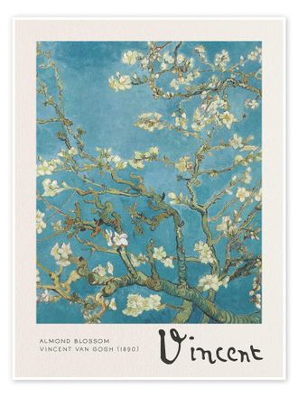 Posterlounge Mandelbl&uuml;te Poster von Vincent van Gogh 30 x 40 cm Blau Wandbilder Wanddeko