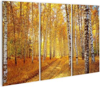 Islandburner Bild auf Leinwand Herbst Birkenwald Bilder Wandbilder Poster HRIU-3P