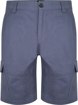 Threadbare Shorts Hydro