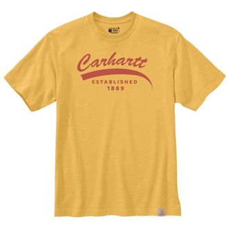 Carhartt Work in Progress Herren Relaxed Fit Heavyweight Short-Sleeve Graphic T-Shirt, Farbe: Sundance Heather, Größe: M