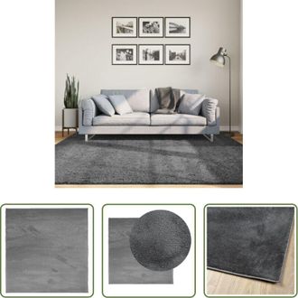 vidaXL Teppich Anthrazit - Teppich OVIEDO Kurzflor Anthrazit 200x200 cm