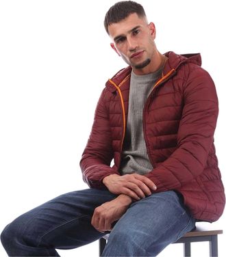 Aquascutum Steppjacke f&uuml;r Herren (Bordeaux)