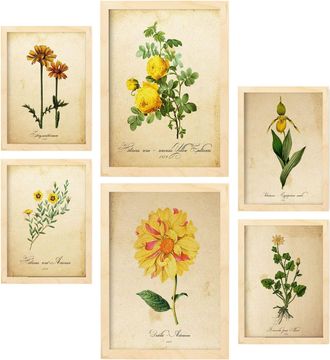 Nacnic Gelbe Blumen Postern. Vollfarbige Natur- und Botanikdrucke mit Blumenmotiven im Vintage Papier Stil. Innenarchitektur und Dekoration. A4 & A3 Holzrahm