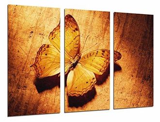 Cuadros Cámara Mehrfarbiges Fotoformat, 97 x 62 cm