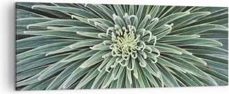 Arttor Panorama Bilder auf Leinwand Agave Grün Pflanze Leinwandbild 140x50cm Wandbilder Dekoration Wohnzimmer Schlafzimmer Küche Groß XXL Wanddeko Bild Wand 