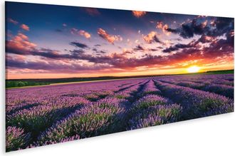 Islandburner Bild auf Leinwand Lavendel Blumenfelder In Endlosen Reihen Bl&uuml;hen Sonnenuntergang Landschaften Leinwandbild Wandbild Prime Bilder f&uuml;r Wohnzimmer etc