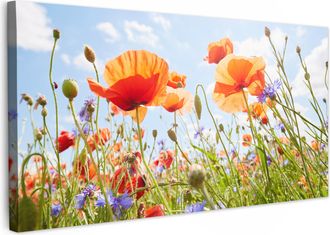 MuchoWow Leinwand Bilder, Einzigartige Wanddeko mit Rahmen, Blumen - Mohn - Fr&uuml;hling - Natur - Rot - Blau, Wandbilder Wohnzimmer, Deko Schlafzimmer 80x40 cm