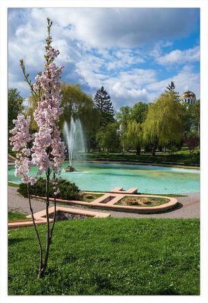 Wallario selbstklebendes Poster - Fr&uuml;hling im Stadtpark, Aufkleber in Premiumqualit&auml;t, Klebefolie Gr&ouml;&szlig;e: 61 x 91,5 cm (Maxiposter)
