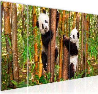 Runa Art Wandbild XXL Tiere Panda Wohnzimmer Schlafzimmer 200 x 80 cm Bunt 5 Teilig - Made in Germany - 014255a