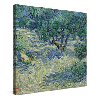 Picanova Vincent Van Gogh Olive Orchard 80x80 cm - Bild auf Leinwand - Leinwandbild - Premium Leinwanddruck - Kunstdruck Auf 2cm Holz-Keilrahmen F&uuml;r Schlaf- Un
