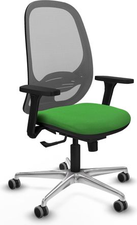 Piqueras y Crespo Schreibtischstuhl mit 3D-Armen, h&ouml;henverstellbare Lendenwirbelst&uuml;tze, ausgestattet mit 3 Positionen und Schneidschaum, Grau/Gr&uuml;n