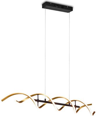 Trio Leuchten Suspension led 45w 5600lm 2300 4000k noir laiton - trio - sequence 67099938 67099938 67099938 67099938